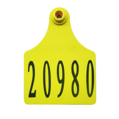 Visual Ear Tag Archives - Raybaca IoT Tech