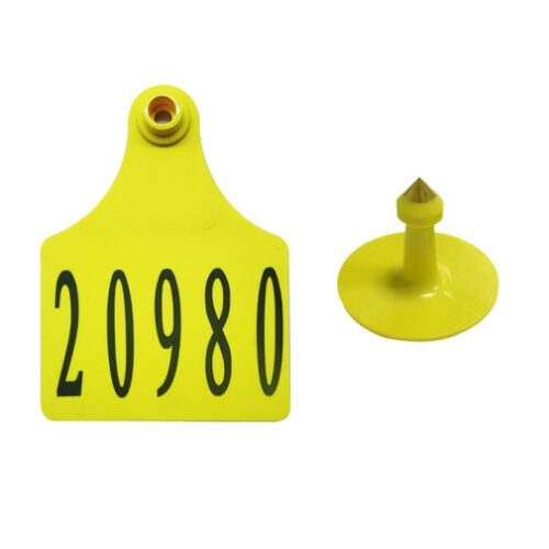 Visual Ear Tag Archives - Raybaca IoT Tech