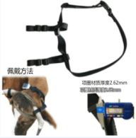 Wearable Waterproof GPS Cattle Sheep Tracker - Raybaca IoT Tech