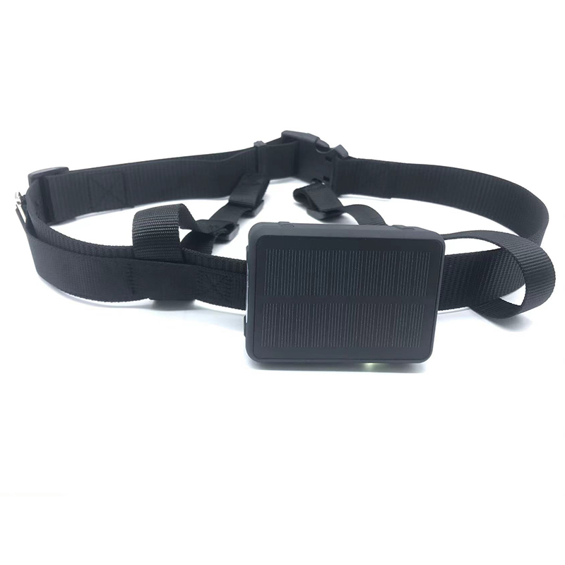 Wearable Waterproof GPS Cattle Sheep Tracker - Raybaca IoT Tech